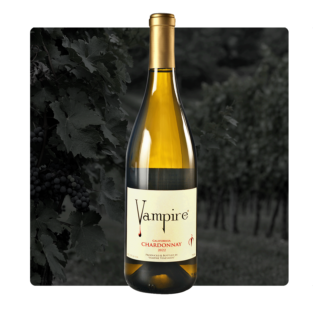 Vampire.com - Award Winning Wine, Coffee, Chocolate, And More