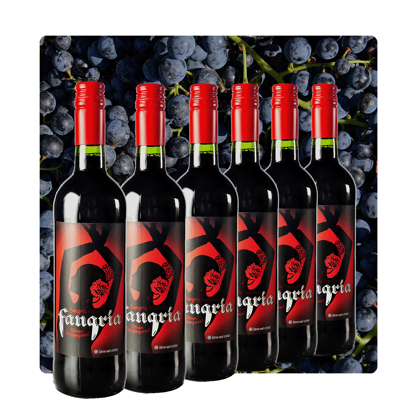 FANGRIA® SANGRIA SIX BOTTLE PARTY SET – Vampire.com
